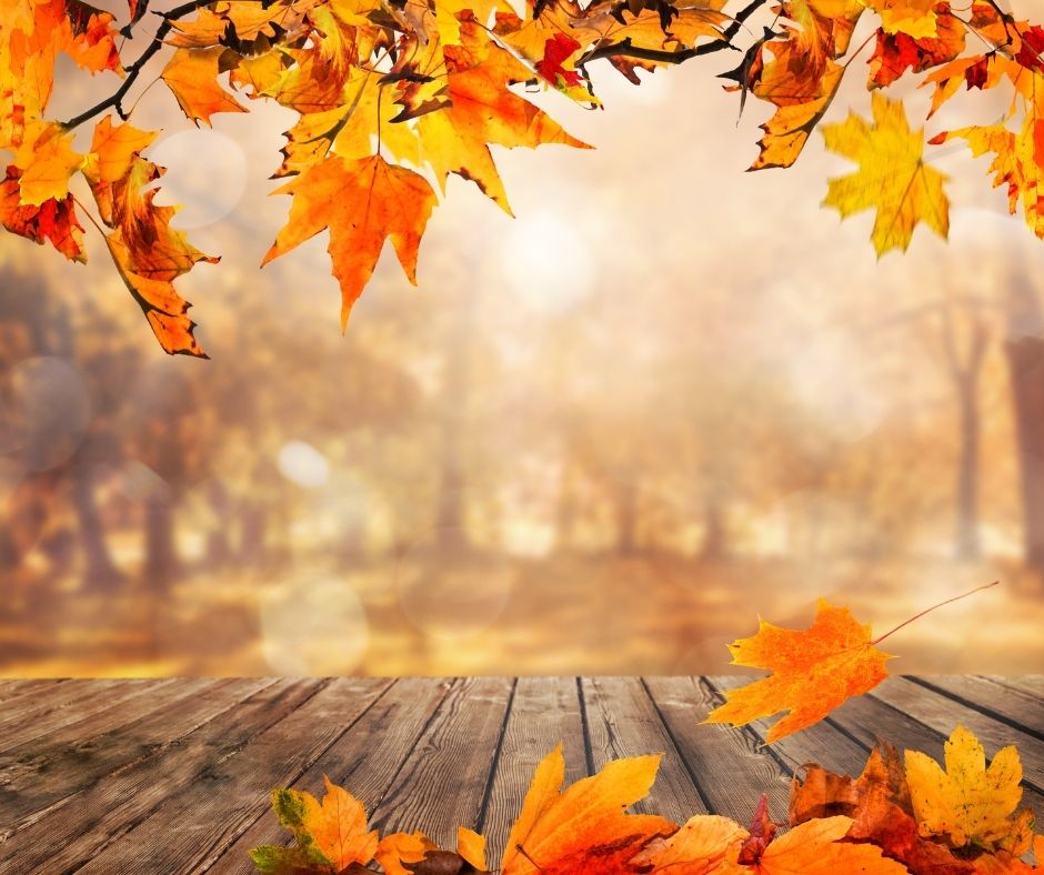 Recognising the importance of the small things in life - Heather Garbutt